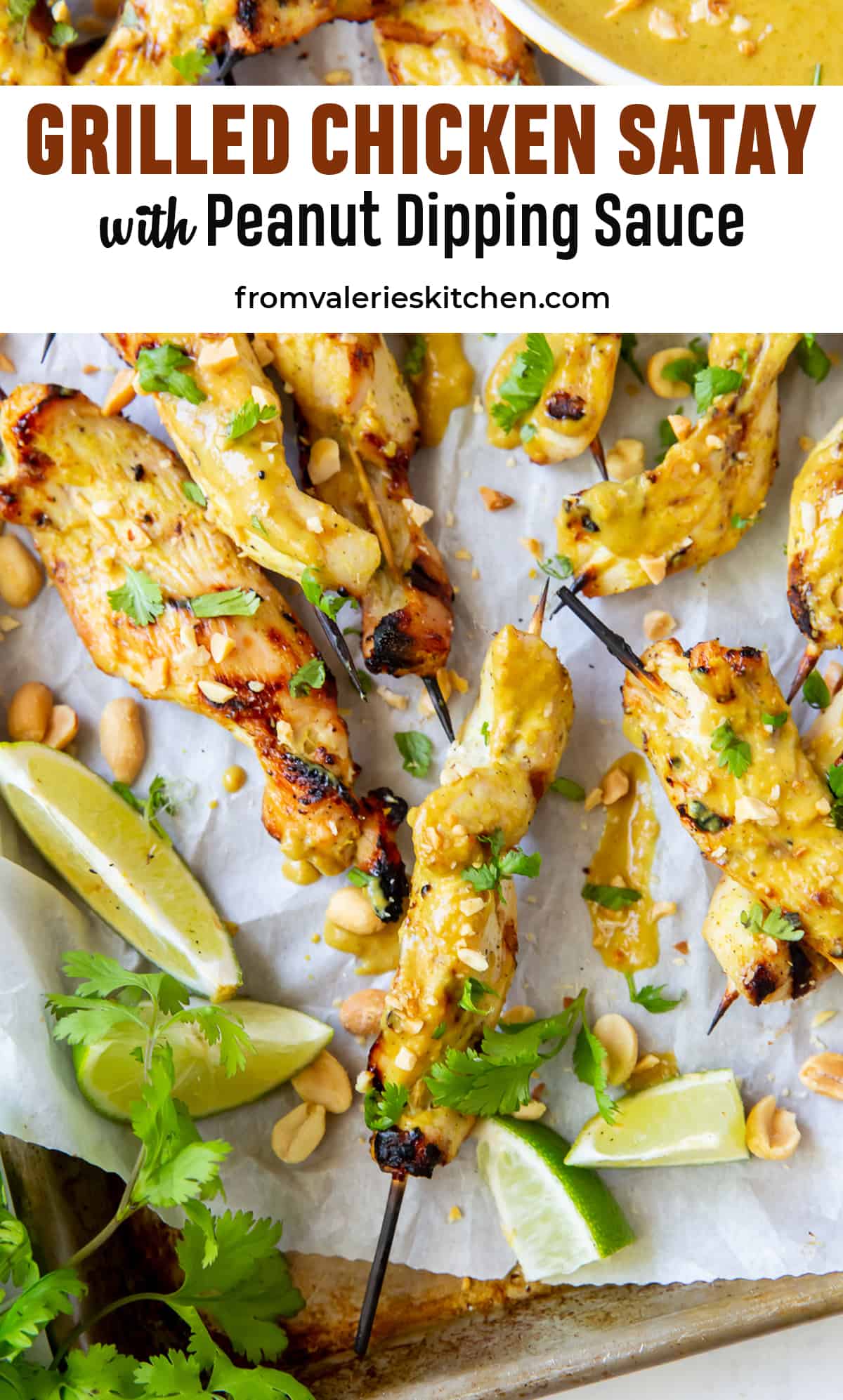 Grilled Chicken Satay with Peanut Sauce