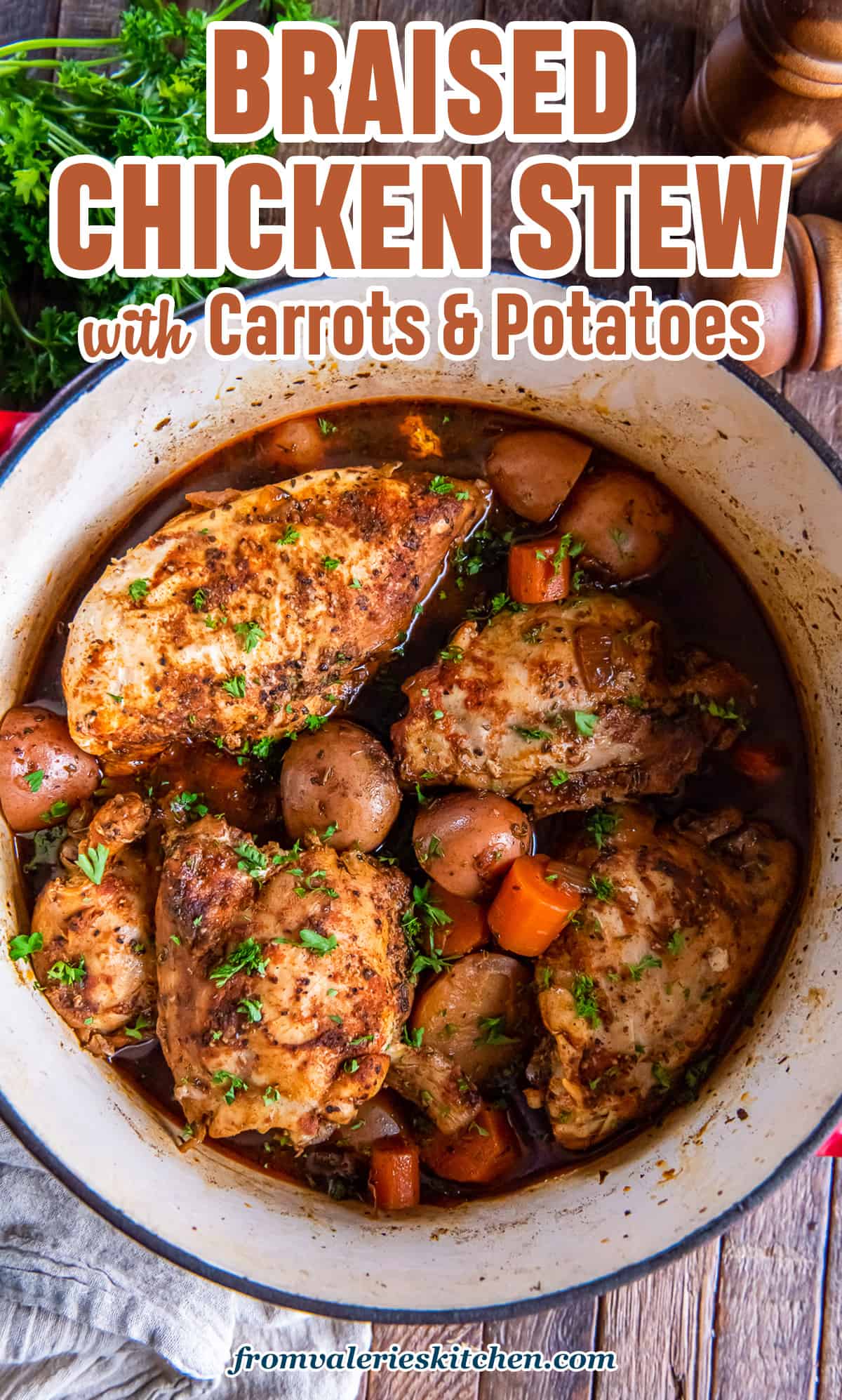 Braised Chicken Stew | Valerie's Kitchen