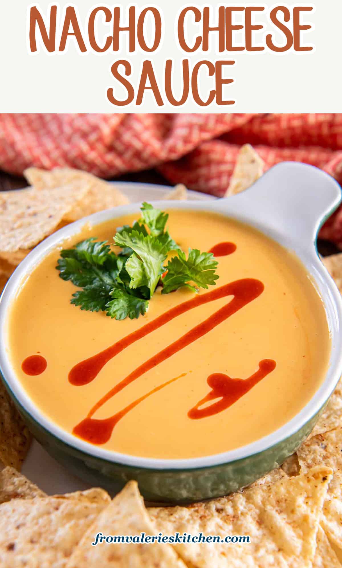 Nacho Cheese Sauce | Valerie's Kitchen