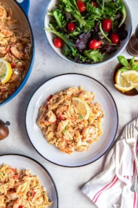 Orzo Pasta with Shrimp